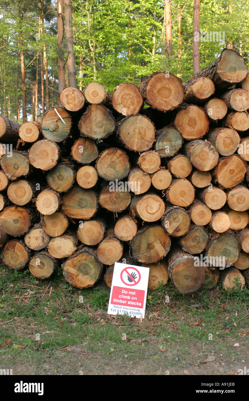 Notice of tree felling hi-res stock photography and images - Alamy
