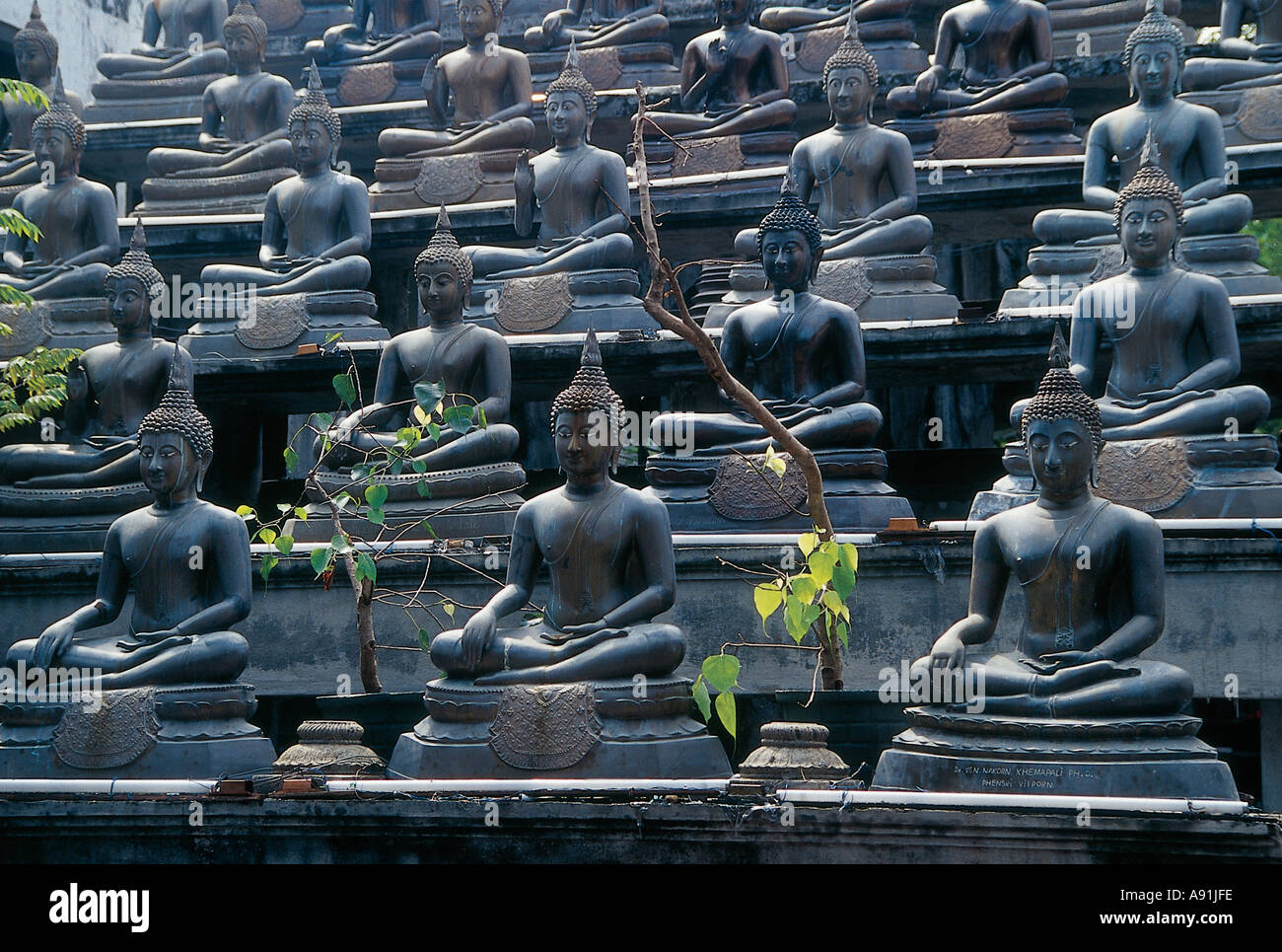 NMJ99637 Lord Buddha Statues Colombo Sri Lanka Ceylon Stock Photo - Alamy