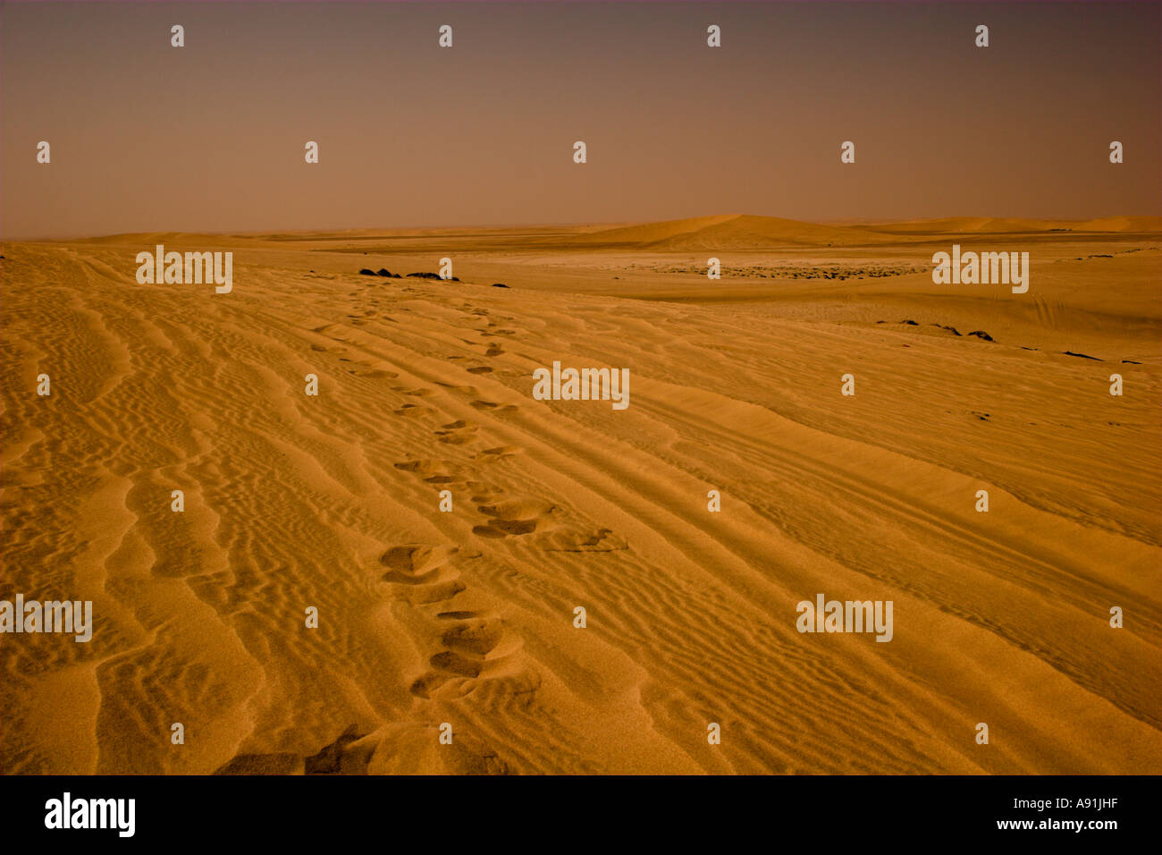Desert in Qatar Stock Photo - Alamy
