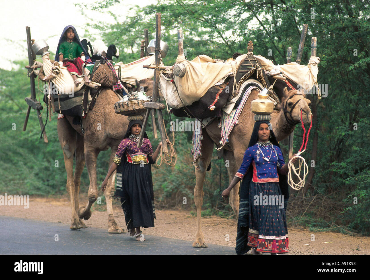 NMJ99691 Nomads gypsies With Camel Cart Saurashtra Kutch Gujarat India ...