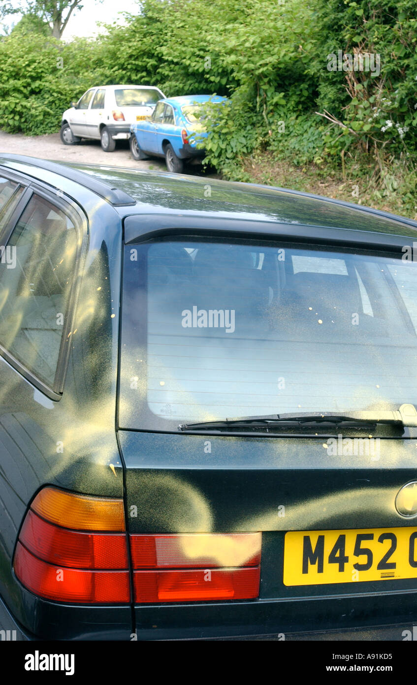 Cars vandalised with paint Stock Photo - Alamy