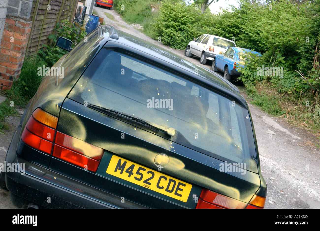 Cars vandalised with paint Stock Photo - Alamy