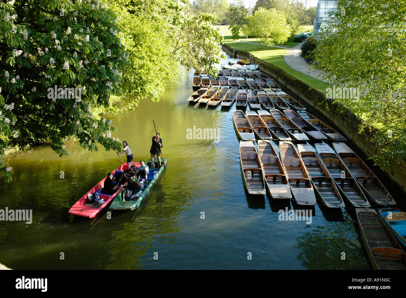 Punting on the River Cherwell at Magdalen Bridge Oxford Stock Photo - Alamy