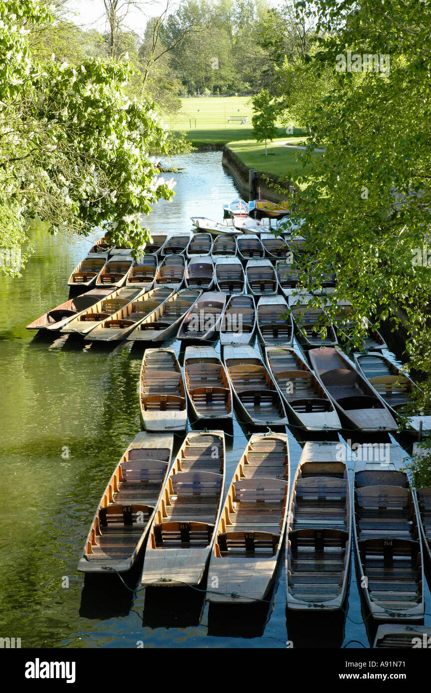 Punts on the River Cherwell at Magdalen Bridge Oxford Stock Photo - Alamy