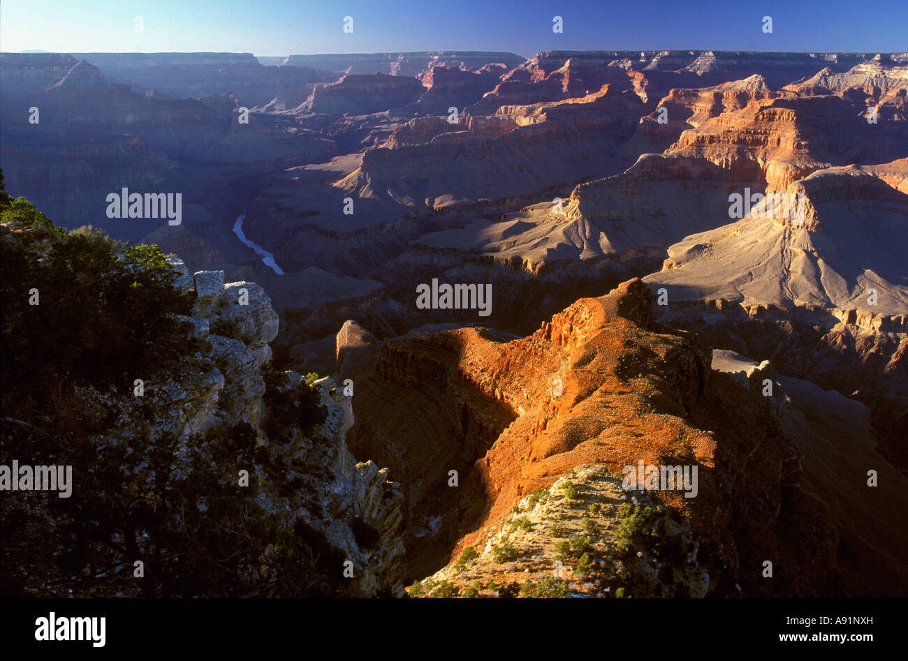 Mohave Point South Rim Grand Canyon National Park Arizona U S A Stock ...
