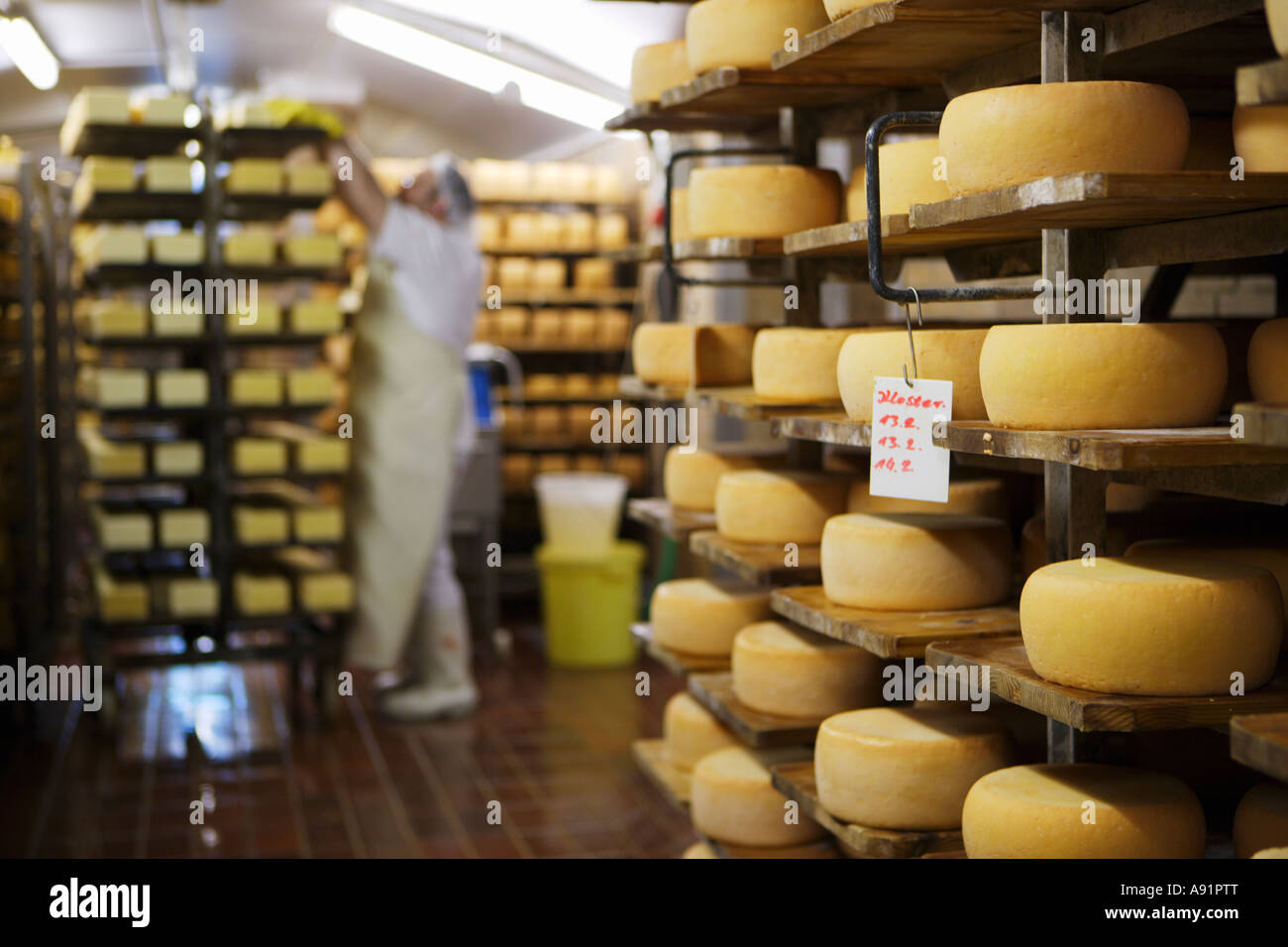 The maturity cellar of the cheese dairy Stock Photo - Alamy