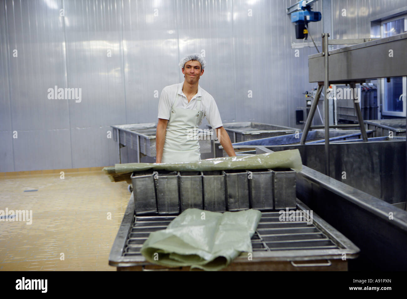The cheese dairy Cheese dairy expert during his work Stock Photo - Alamy