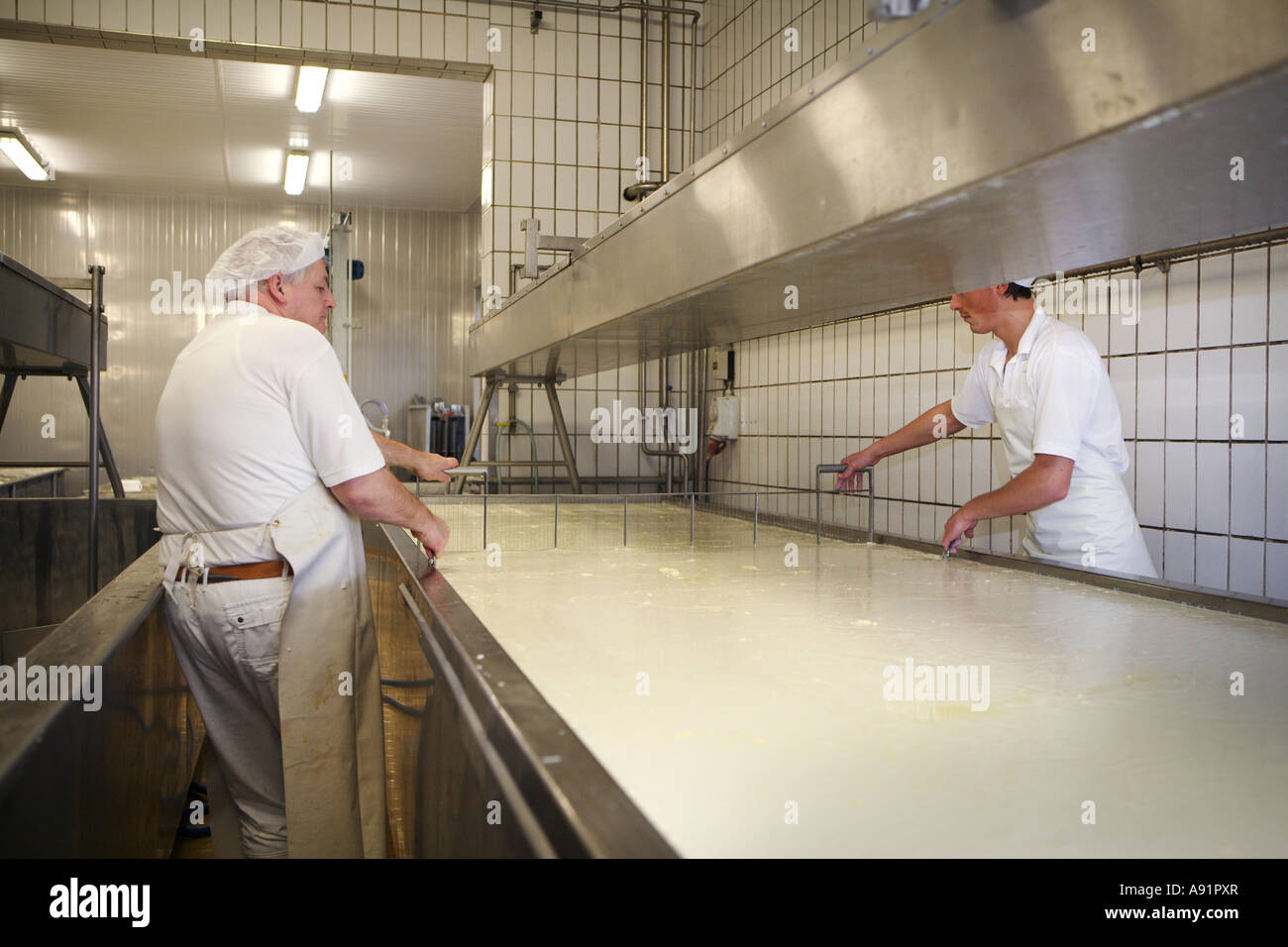 The cheese dairy Dairy masters Hinrichs and dairy expert cut cheese ...