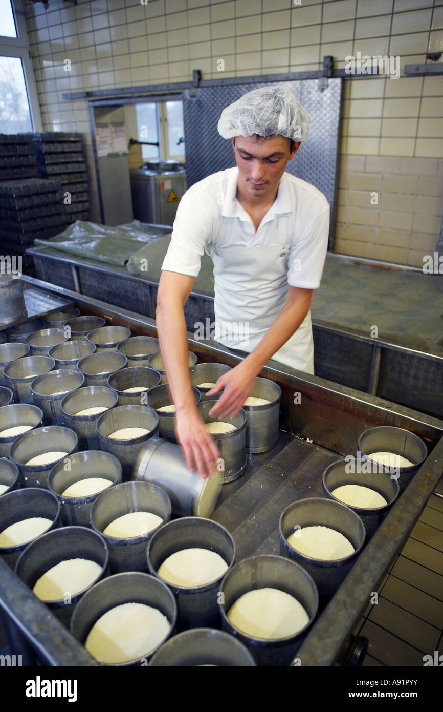 The cheese dairy Cheese dairy expert during his work Stock Photo - Alamy