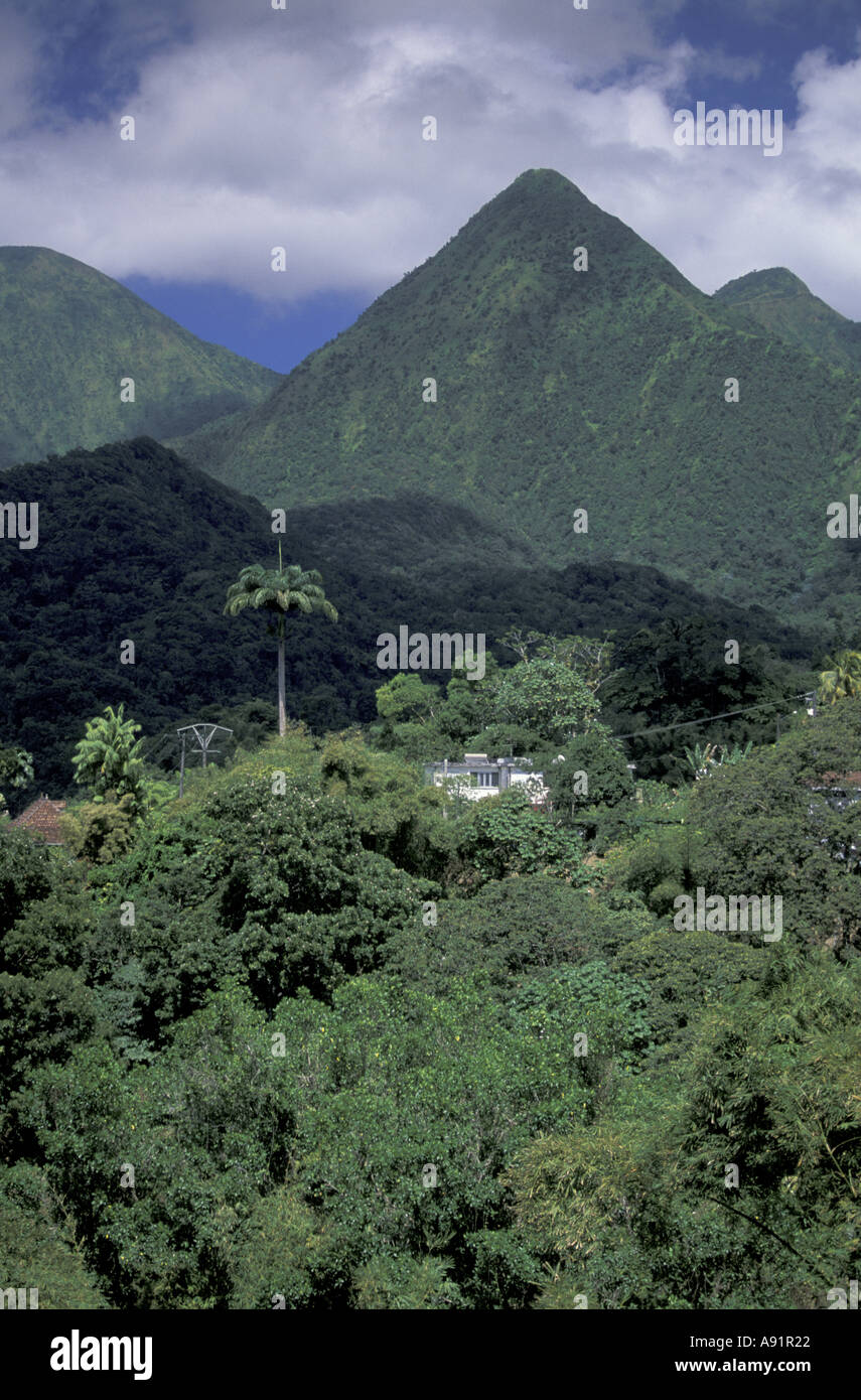 Caribbean, French West Indies, Martinique; Route de la Trace. View of ...
