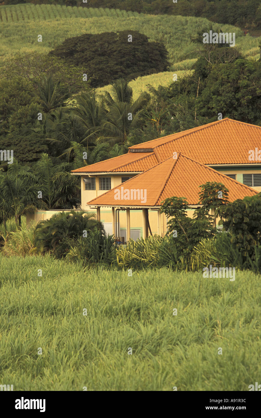 Rooftop farm caribbean hi-res stock photography and images - Alamy