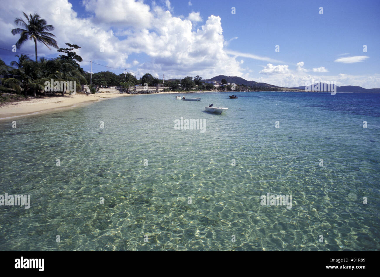 Puerto Rico From Crystal Puerto Rico: PR Poons On The Fly Issuu