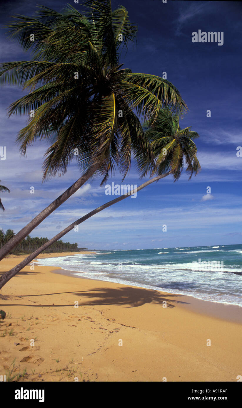 Puerto Rico, Pinone's Beach Stock Photo - Alamy