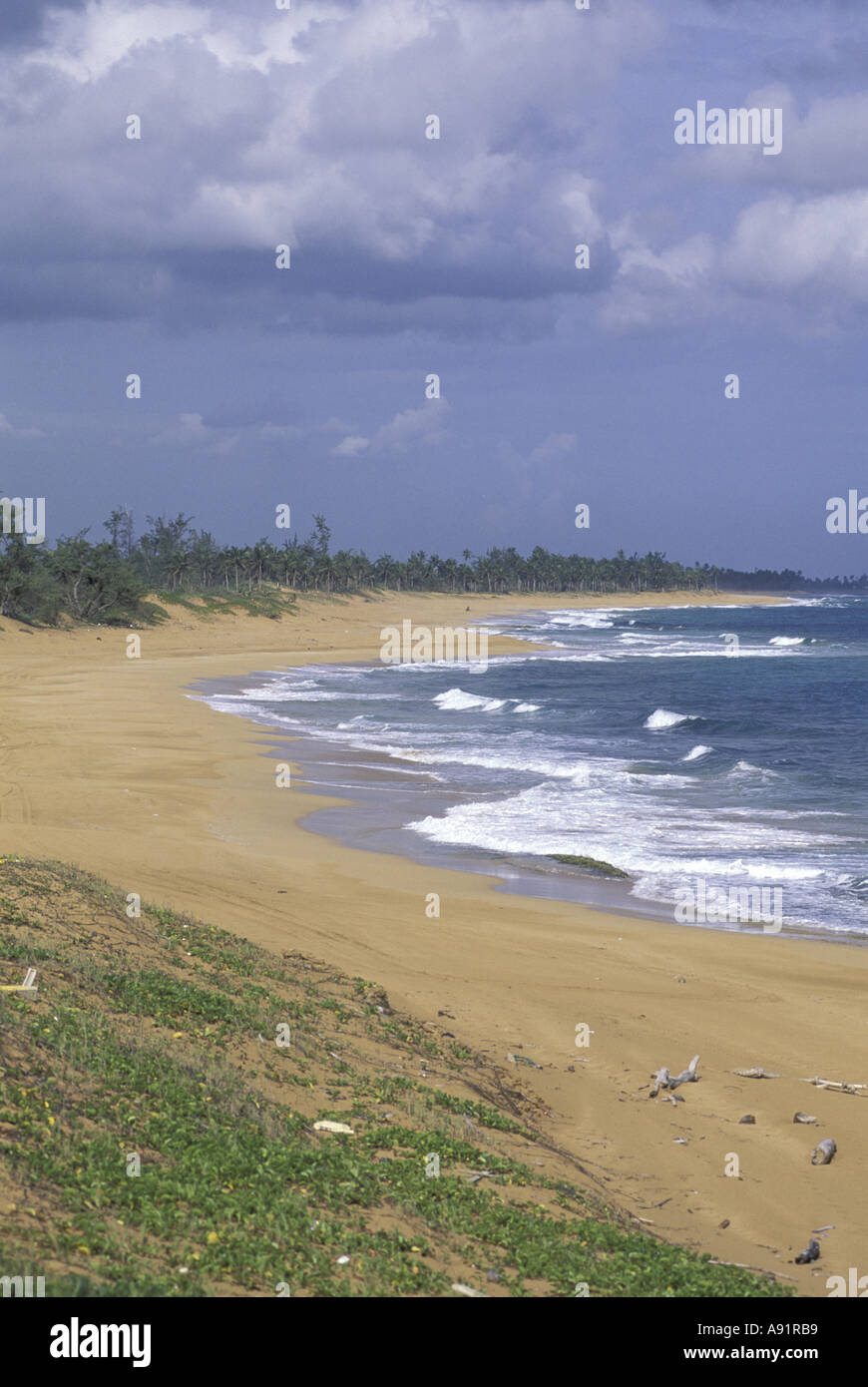 Caribbean, Puerto Rico. Northeast coast scenic Stock Photo - Alamy