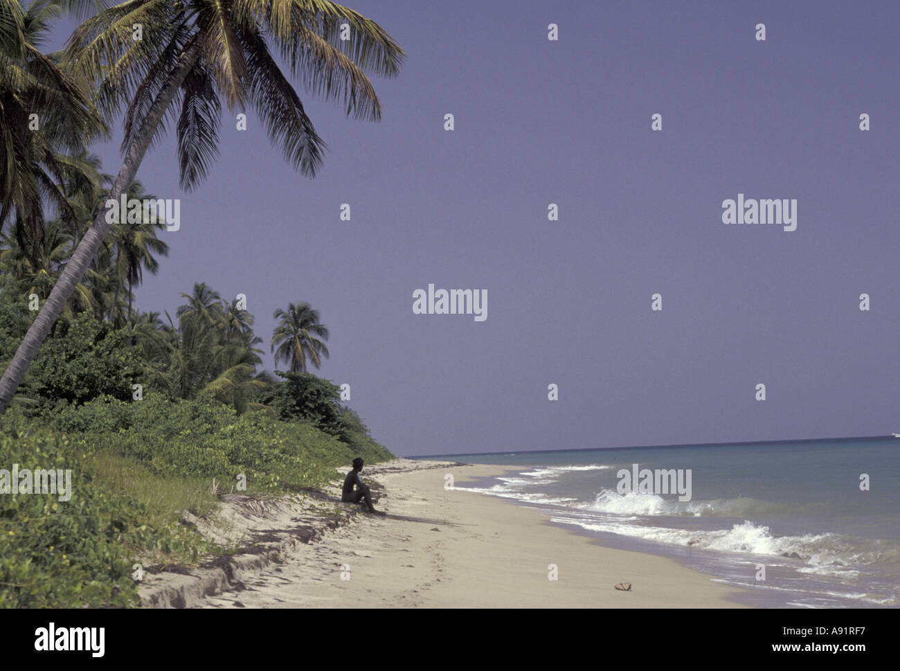 Caribbean, Nevis. View of Pinney Beach Stock Photo - Alamy