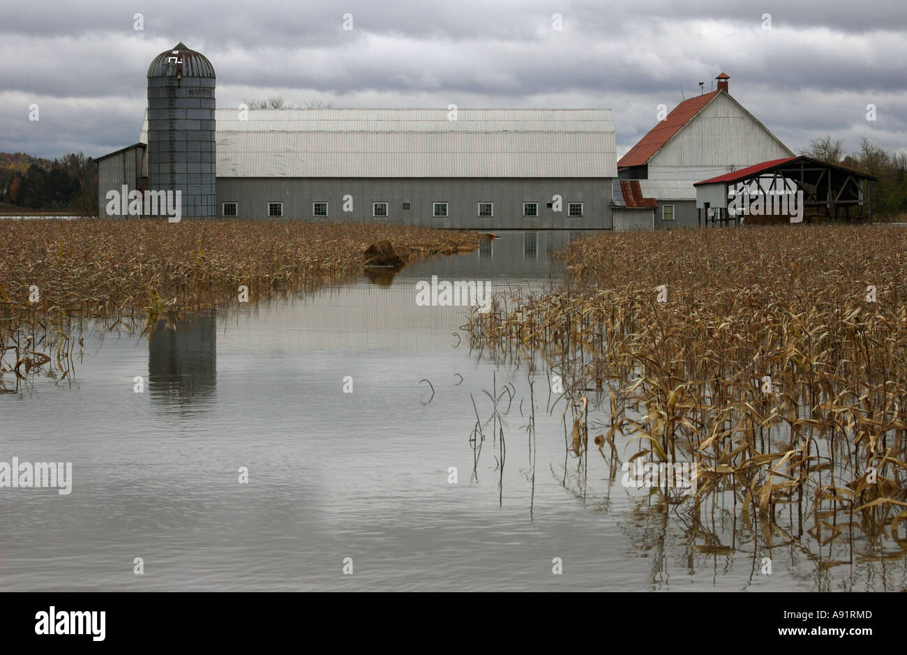 Flooded farm buildings hi-res stock photography and images - Alamy