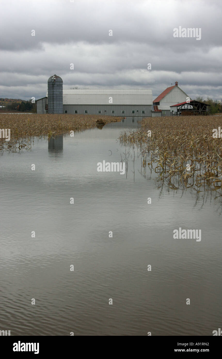 Flooded farm buildings hi-res stock photography and images - Alamy
