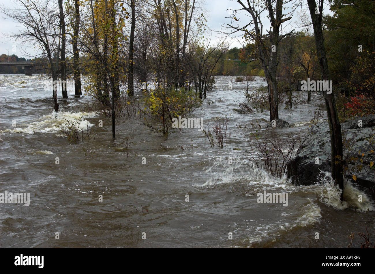 River that has burst its banks Canada Stock Photo - Alamy River that has burst its banks Canada Stock Photo - Alamy