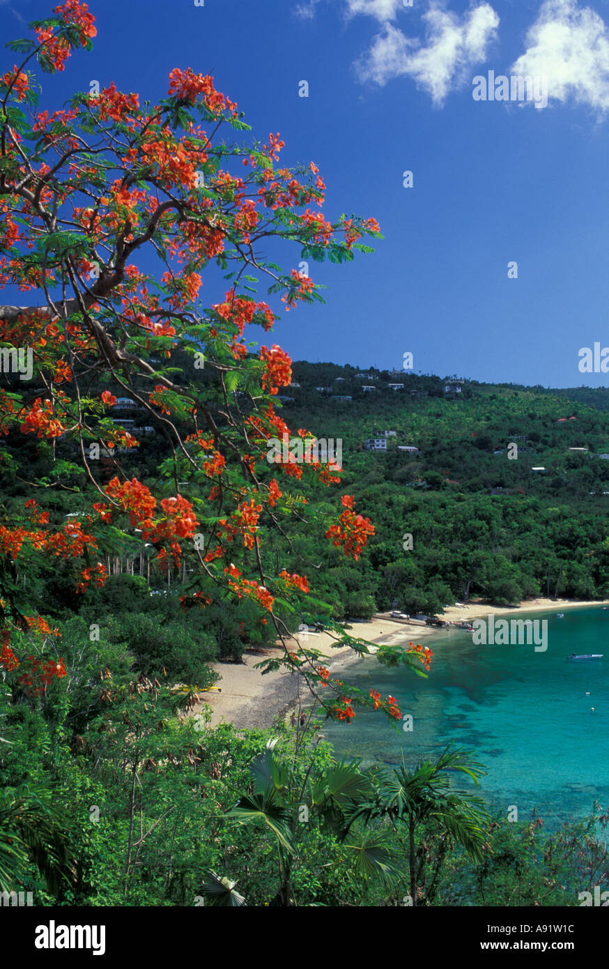 Caribbean, St. Thomas. Hull Bay Stock Photo - Alamy