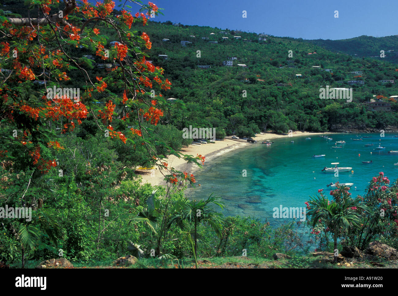 Caribbean, St. Thomas. Hull Bay Stock Photo - Alamy