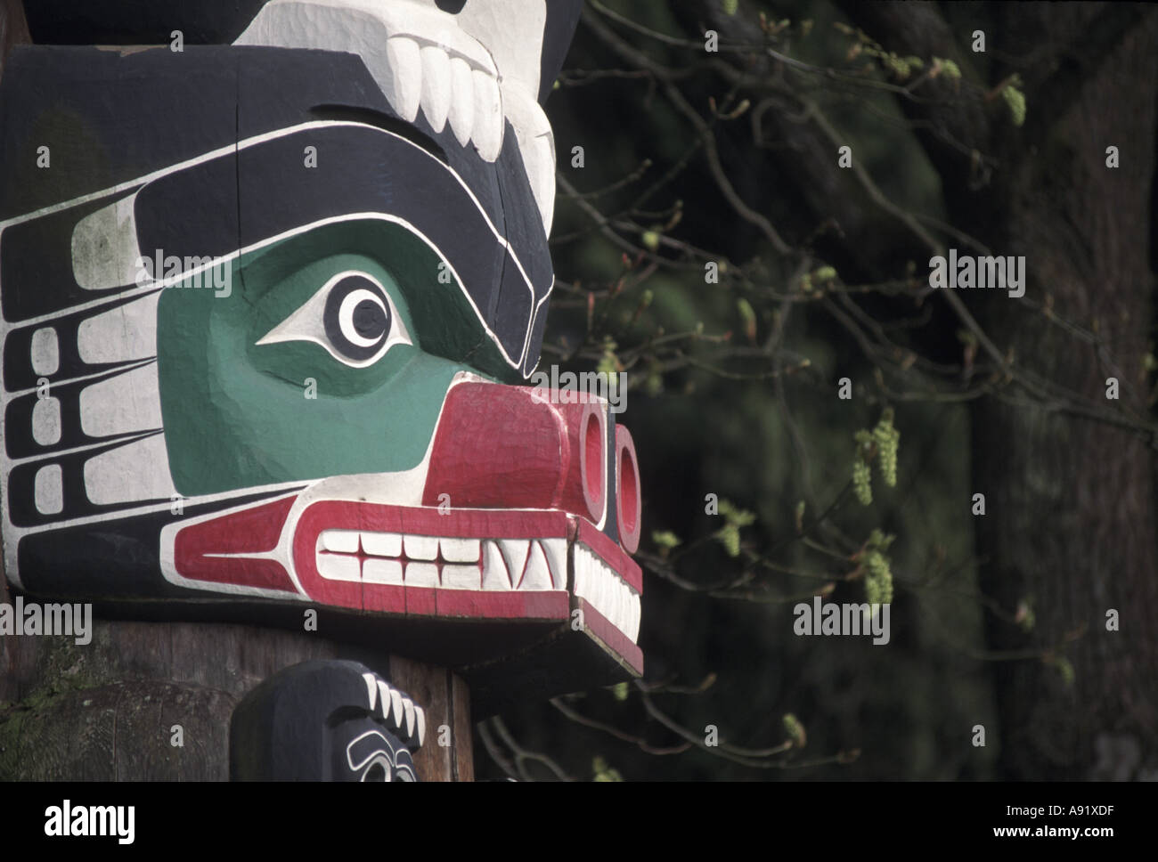 North America, Canada, British Columbia, Vancouver. Native American ...