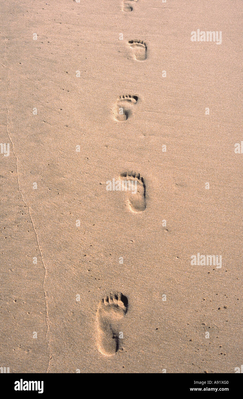 Footprints in the sand on the beach in Southern California Stock Photo ...