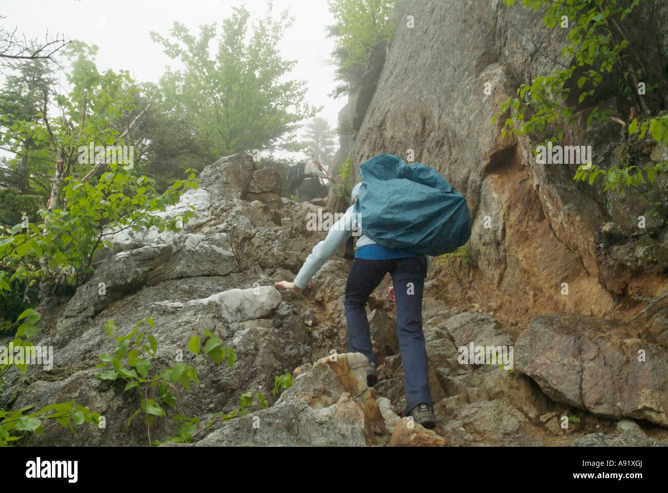 Appalachian Trail- Trail Adopters work on the Wildcat Ridge Trail in ...