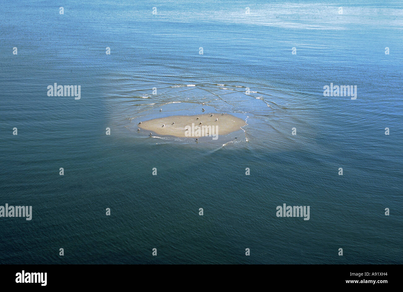 Miniscule hi-res stock photography and images - Alamy