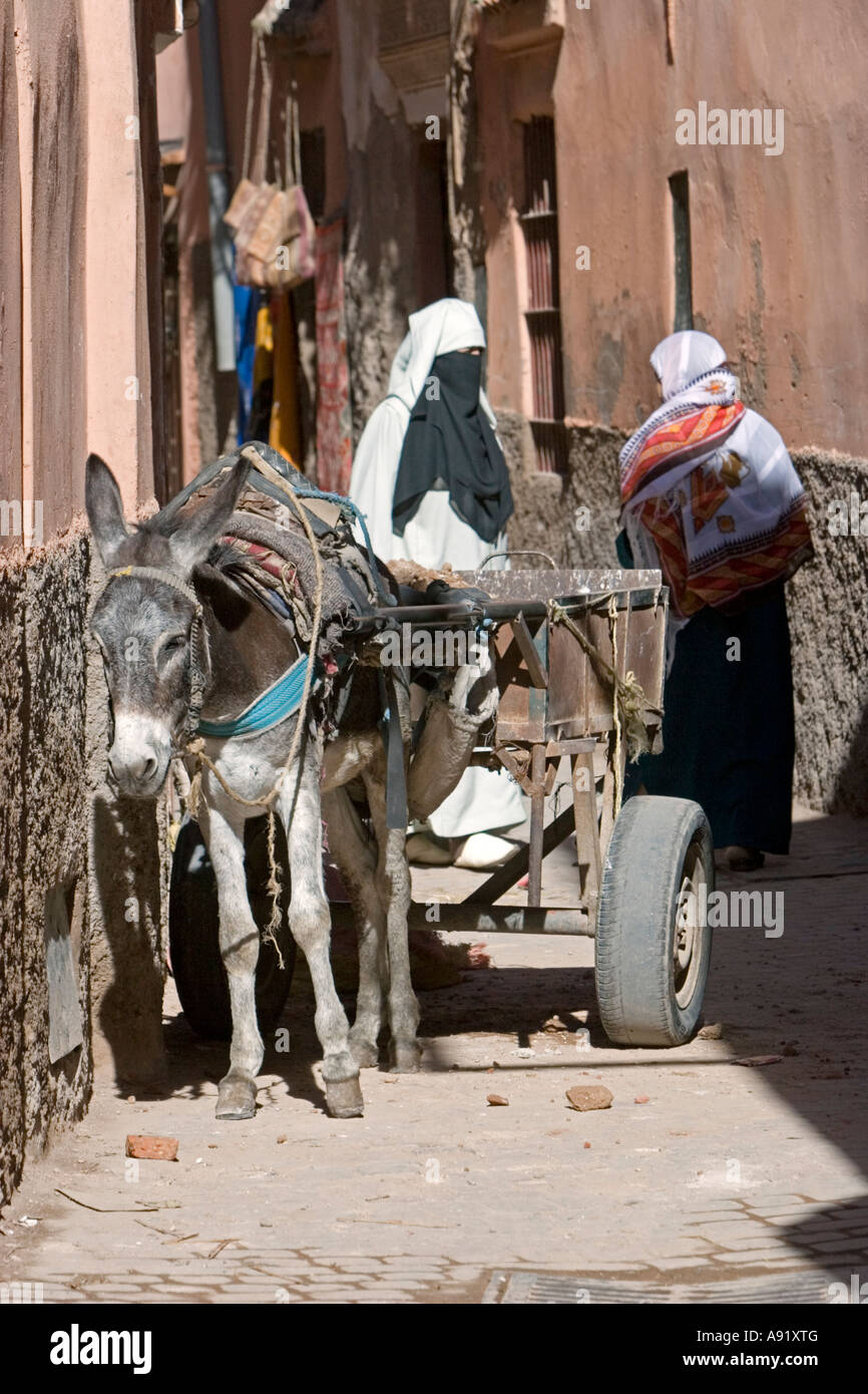 Donkey builders cart women in traditional clothes lane Medina Marrakech ...