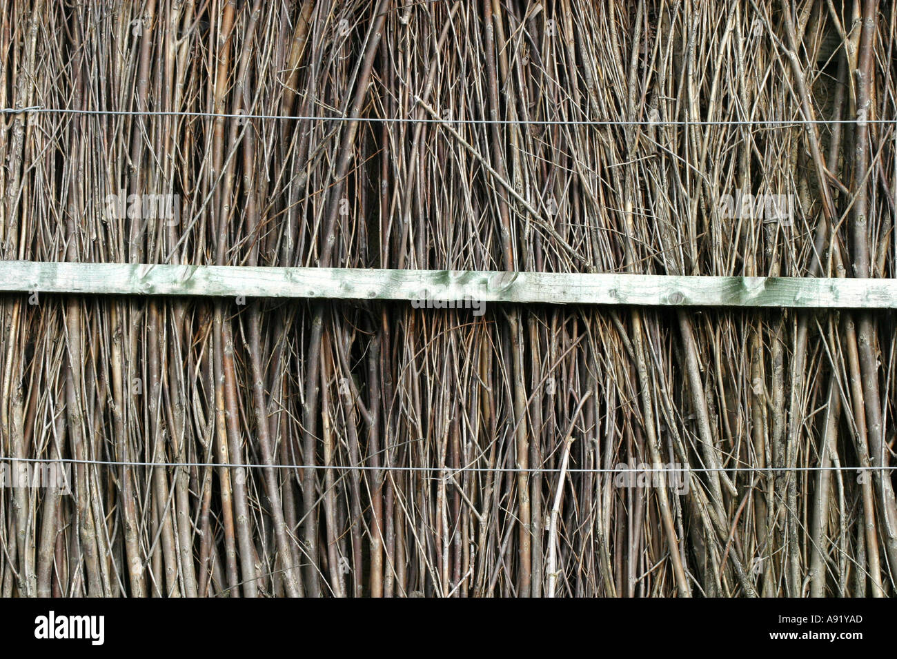Reed panel hi-res stock photography and images - Alamy