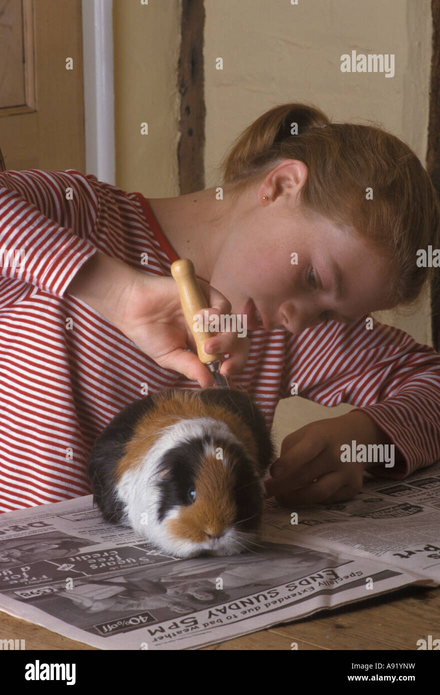 Guinea pigs children hi-res stock photography and images - Alamy