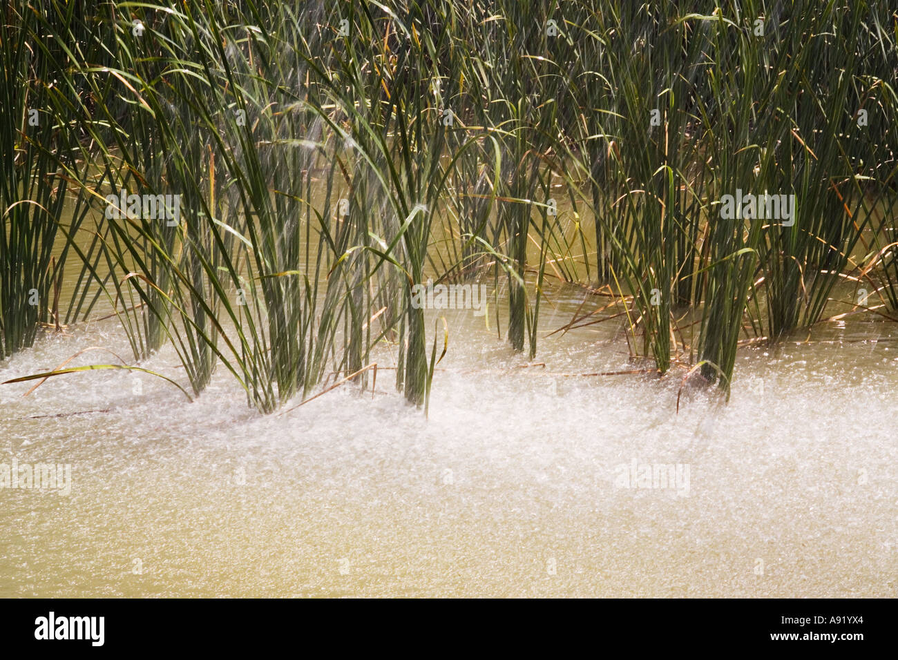 Fountain spraying water onto hi-res stock photography and images - Alamy
