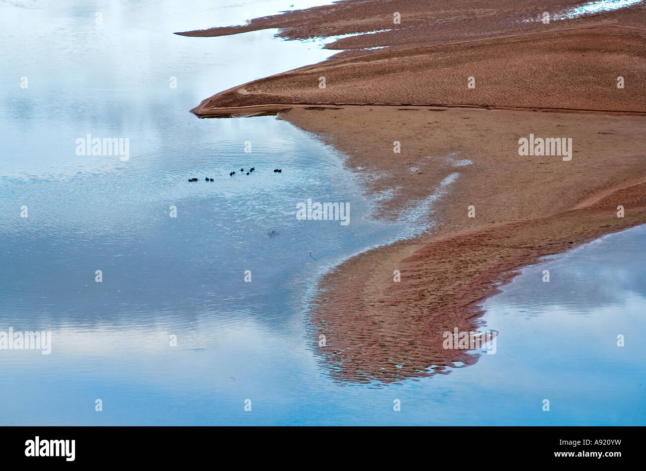 Colorado river at the mouth of Lockhart basin south eastern Utah Stock ...