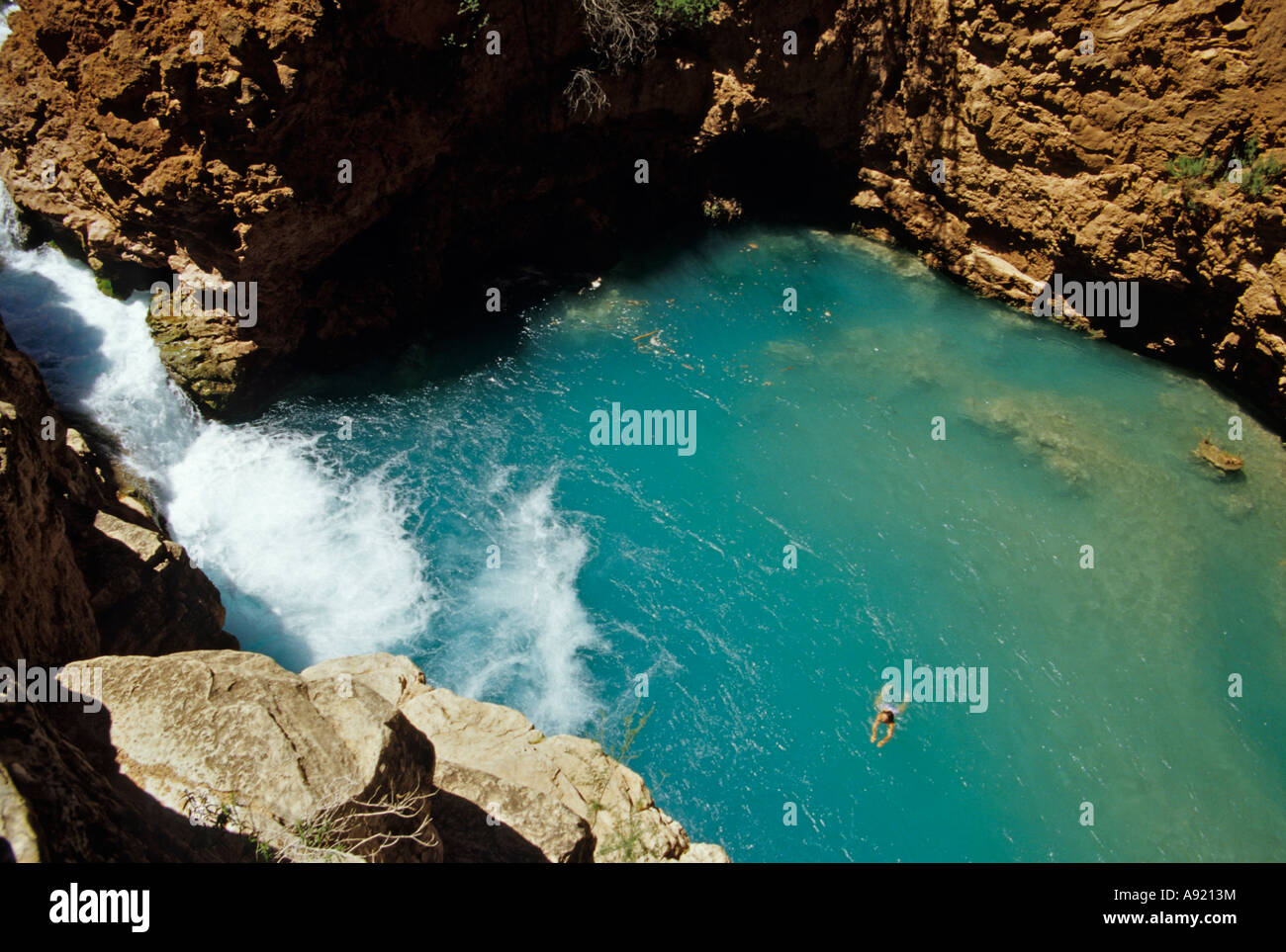 Suzy Loeffler swimming in Havasu Canyon Arizona Stock Photo - Alamy