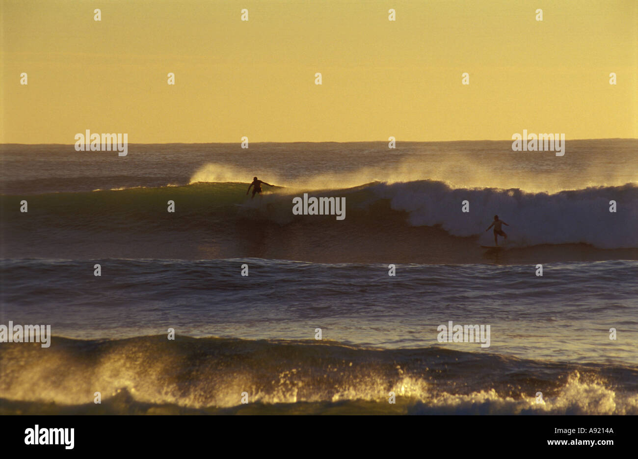 Big wave surfer Stock Photo - Alamy