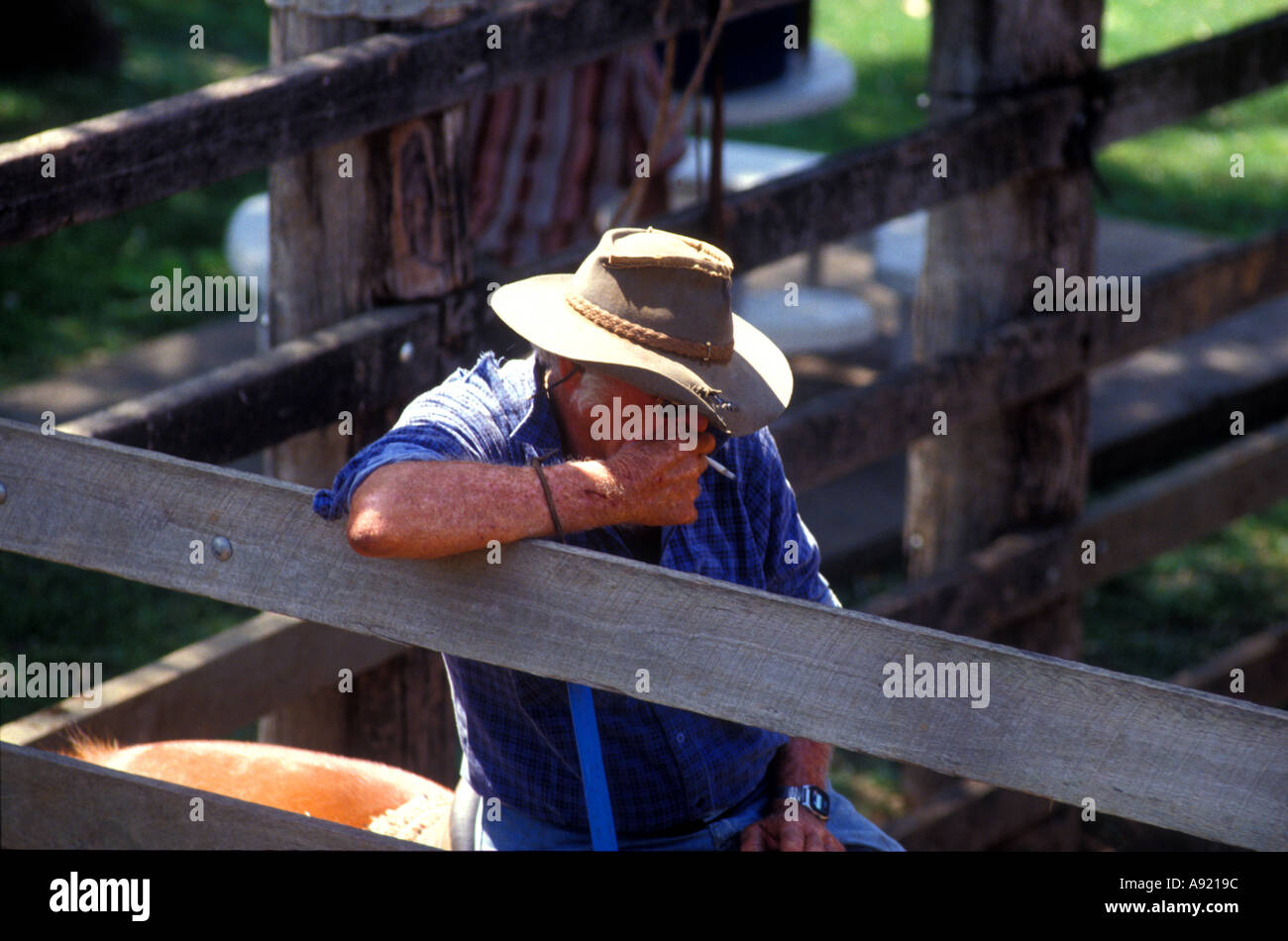 Australian outback cowboy man hi-res stock photography and images - Alamy