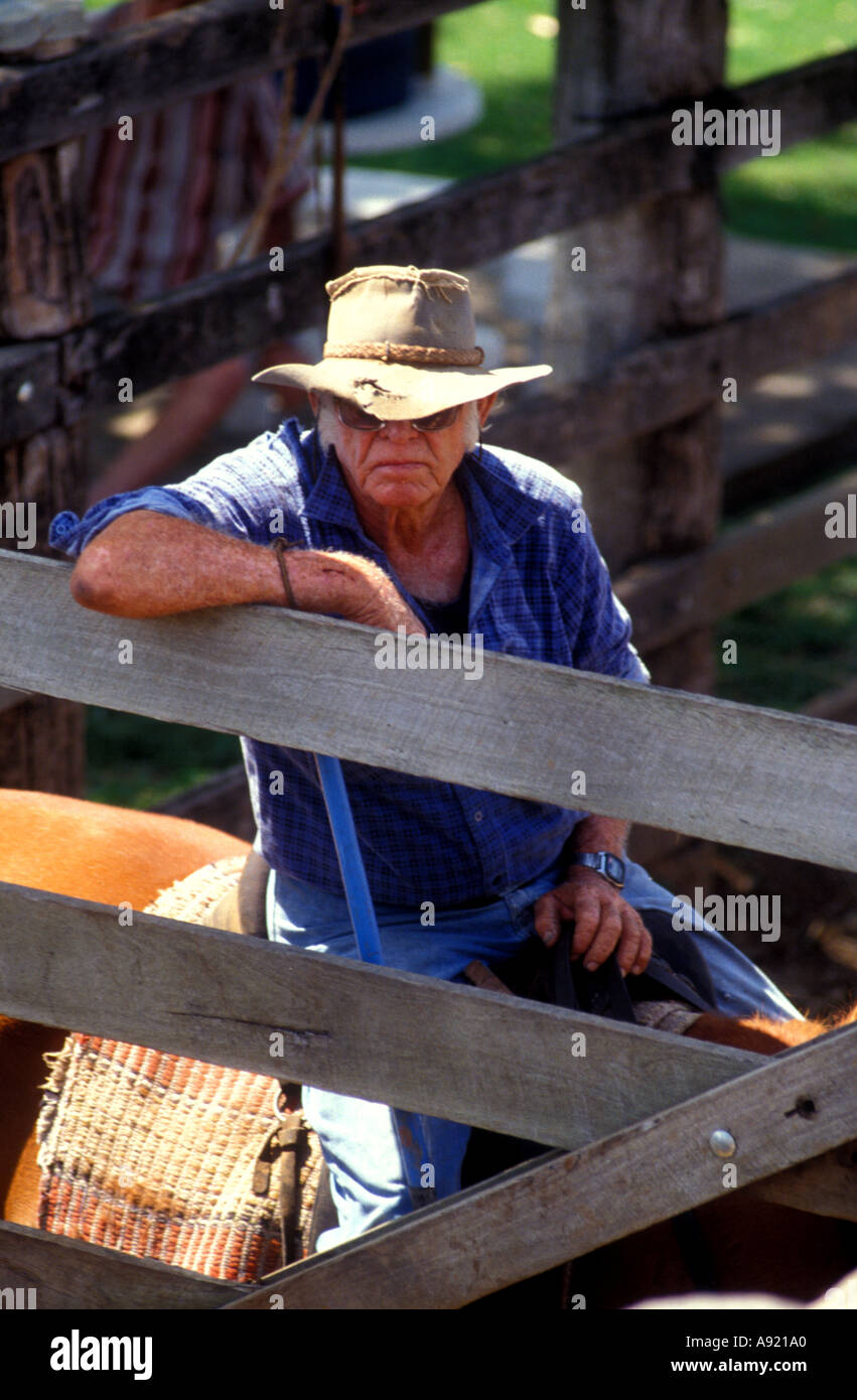 Cattle drover outback australia hi-res stock photography and images - Alamy