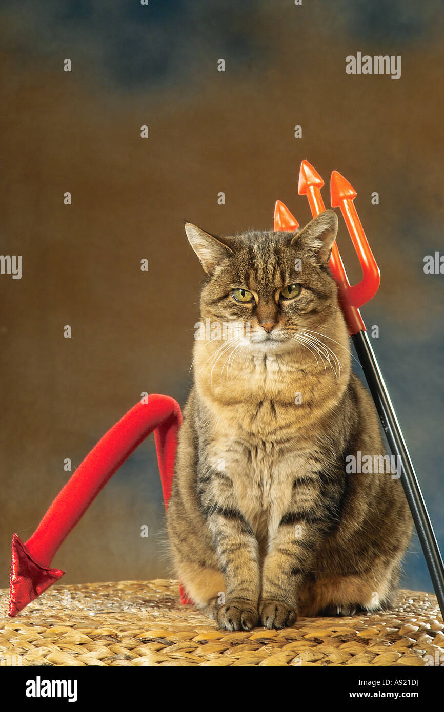 Devil chair hi-res stock photography and images - Alamy