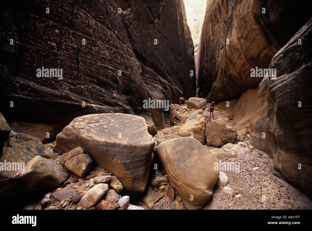 Mike Lynch hiking in Round Valley Draw Grand Staircase Escalante ...