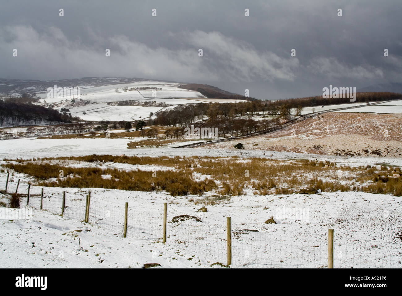 Commondale hi-res stock photography and images - Alamy