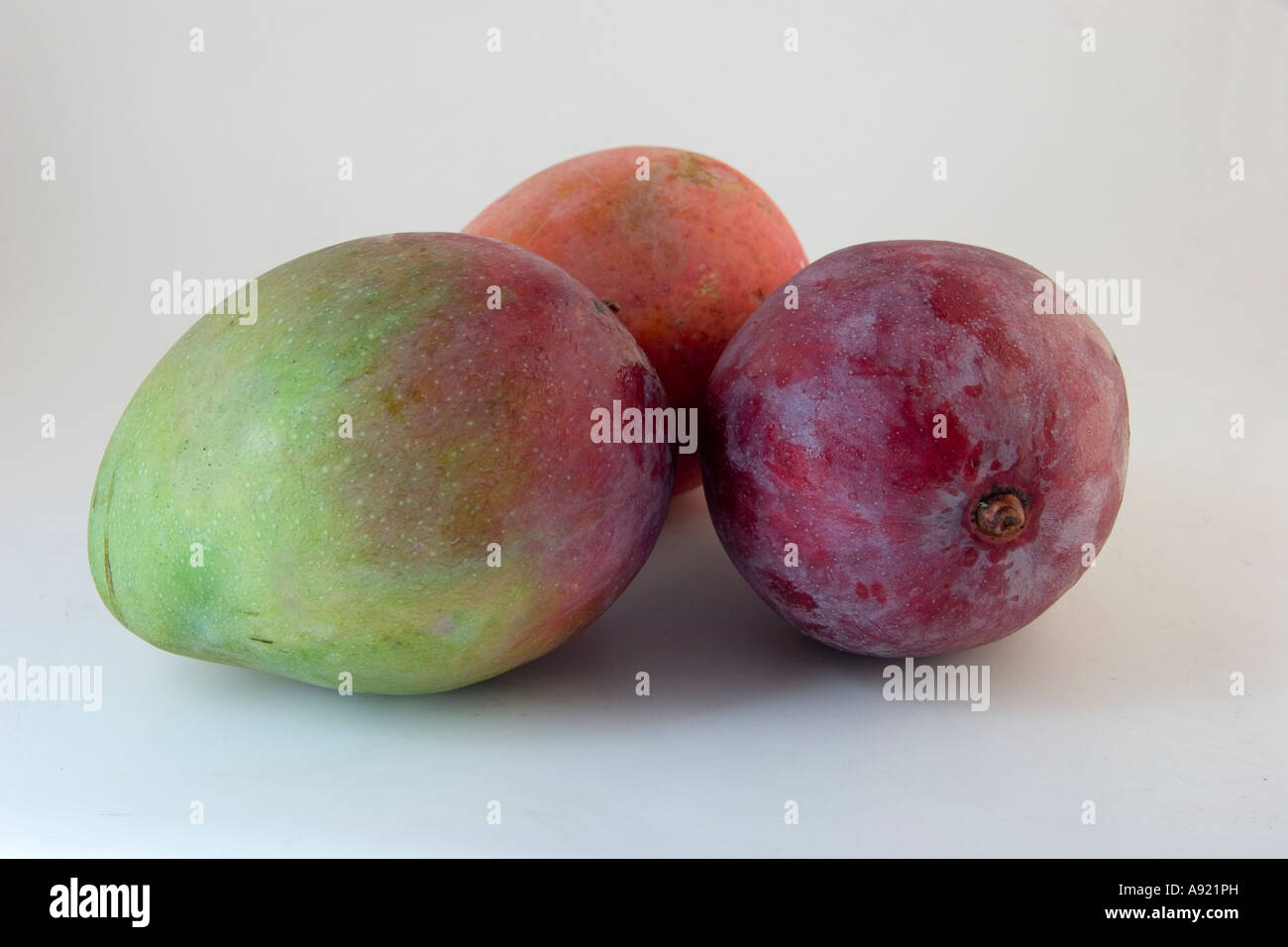 Three colorful mangoes on a white background Stock Photo - Alamy