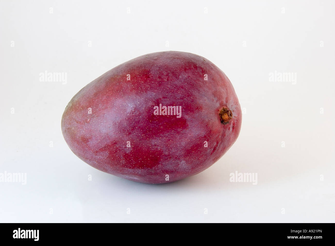 Red mango on a white background Stock Photo - Alamy