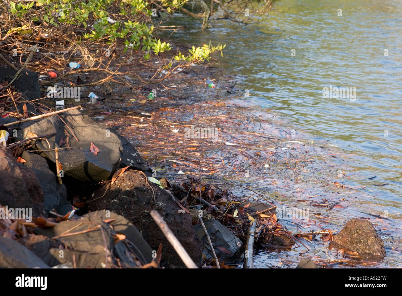 Shore water pollution Stock Photo - Alamy