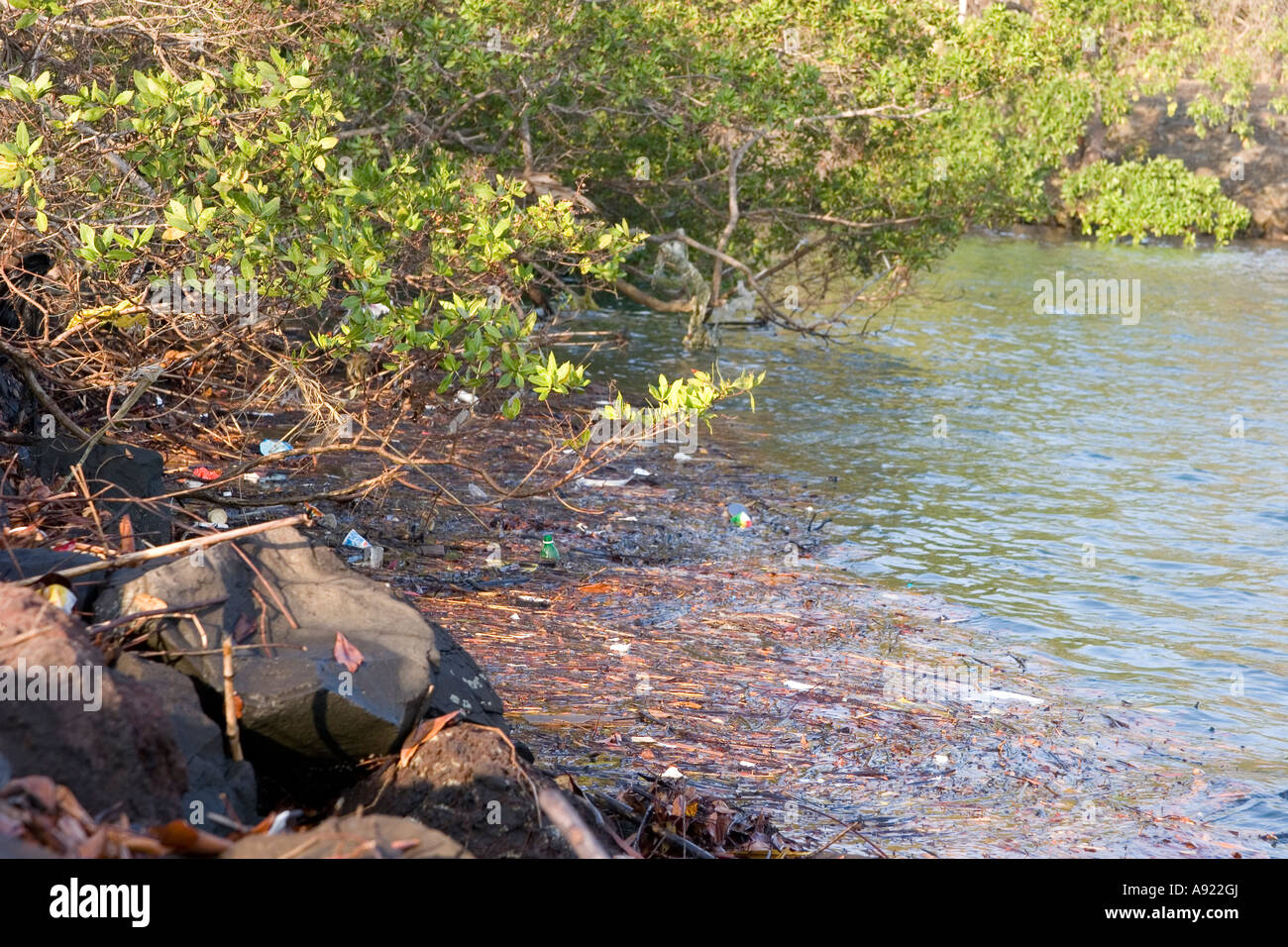 Shore water pollution Stock Photo - Alamy