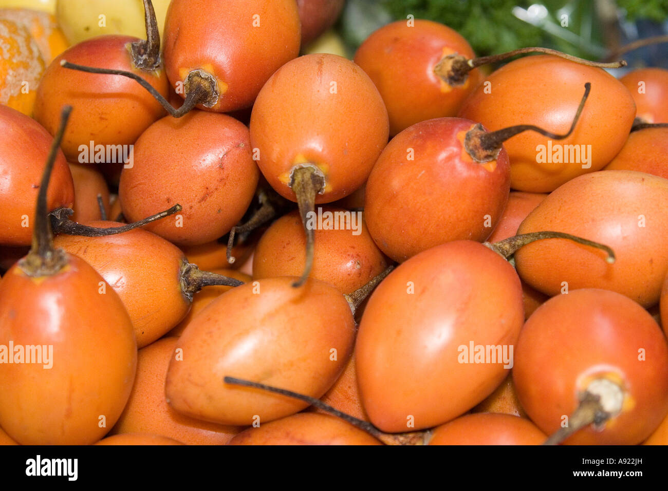Tamarillos at Panama's Municipal Market. Panama City, Republic of ...