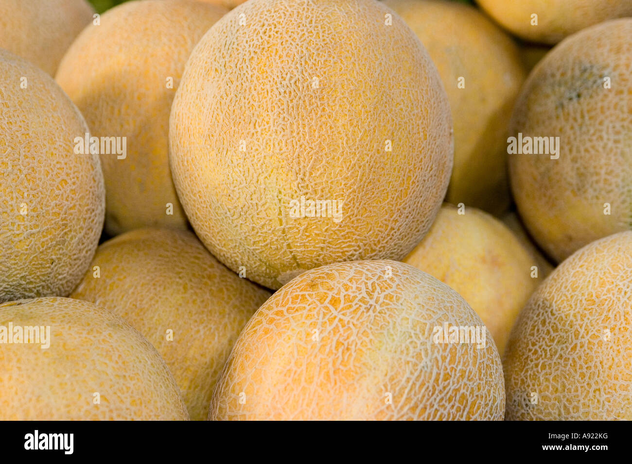 Melons at Panama's Municipal Market. Panama City, Republic of Panama ...