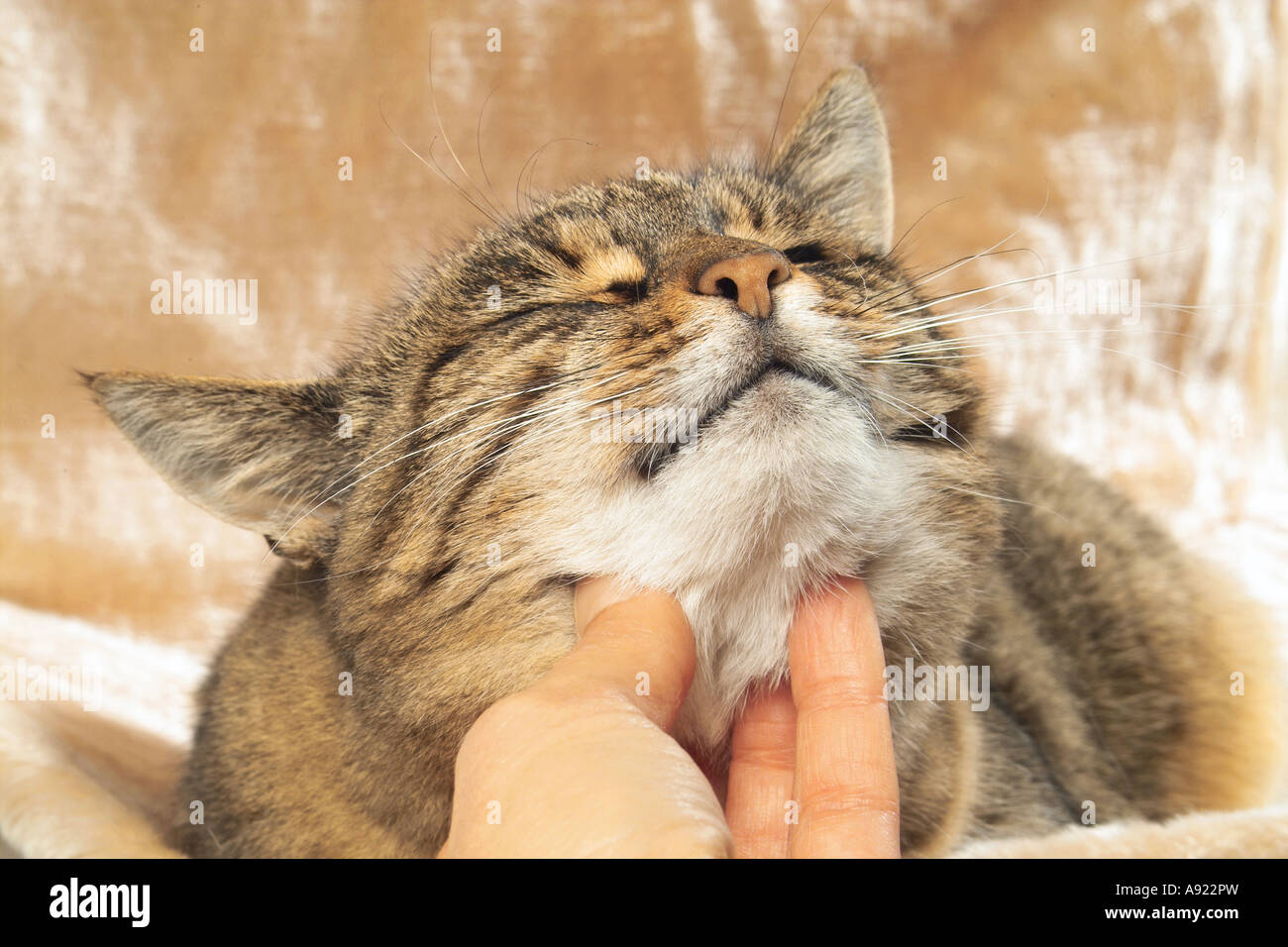 Crawled inside hi-res stock photography and images - Alamy