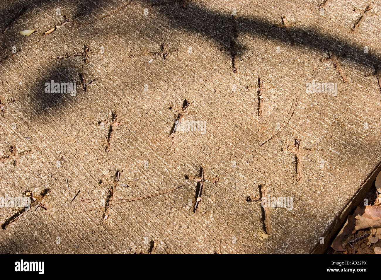 Marked path hi-res stock photography and images - Alamy