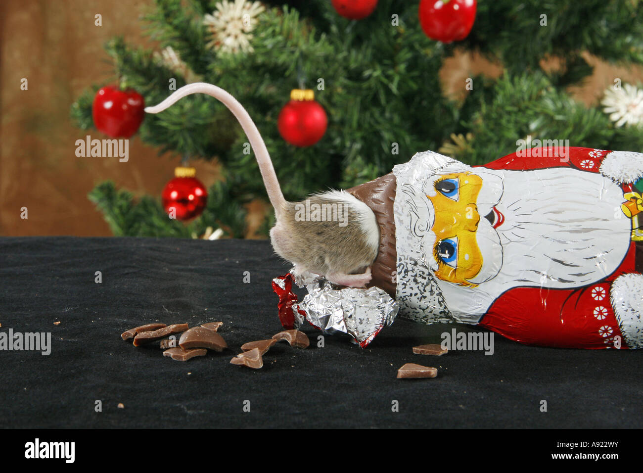 Advent mouse hi-res stock photography and images - Alamy