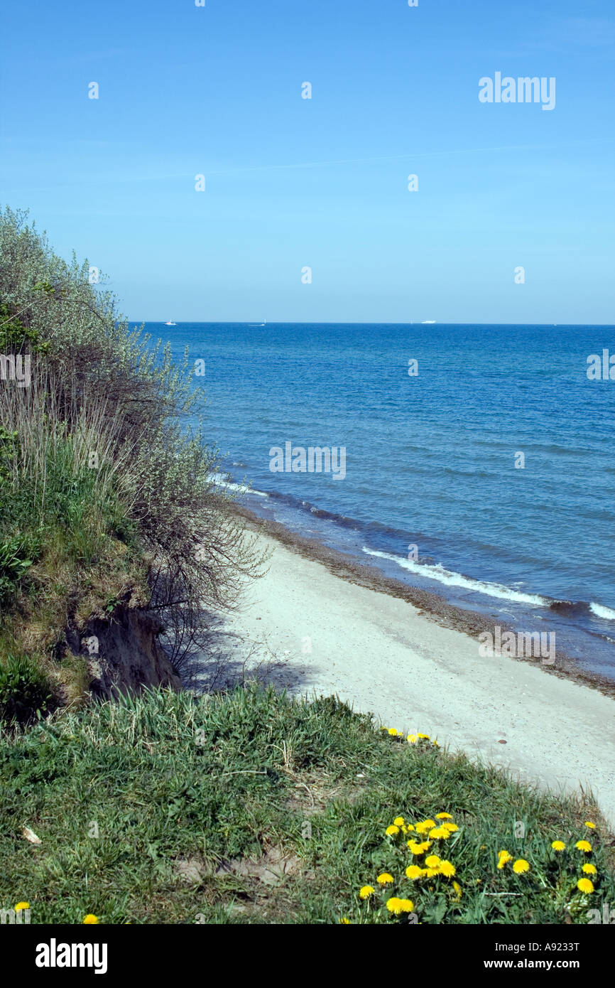 Baltic flowers hi-res stock photography and images - Alamy